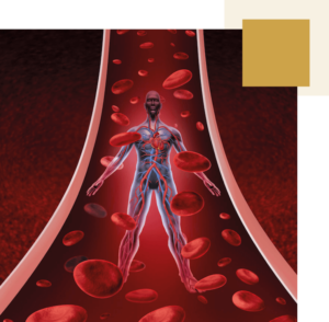 Learn More About How We Can Help With Erectile Dysfunction - BMG